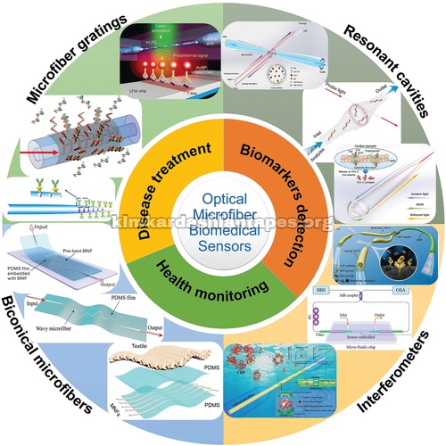 Sensor Biomedis Mikrofiber Optik: Klasifikasi, Aplikasi, dan Prospek ...